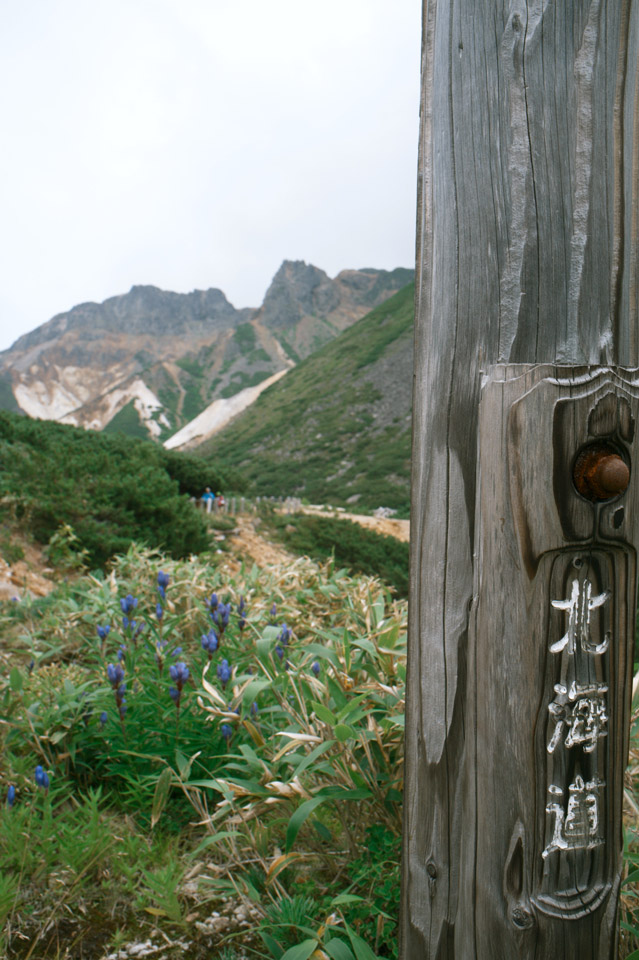 Mt. Furano, Daisetsuzan National Park in Hokkaido // 富良野岳, 大雪山国立公園, 北海道 ...