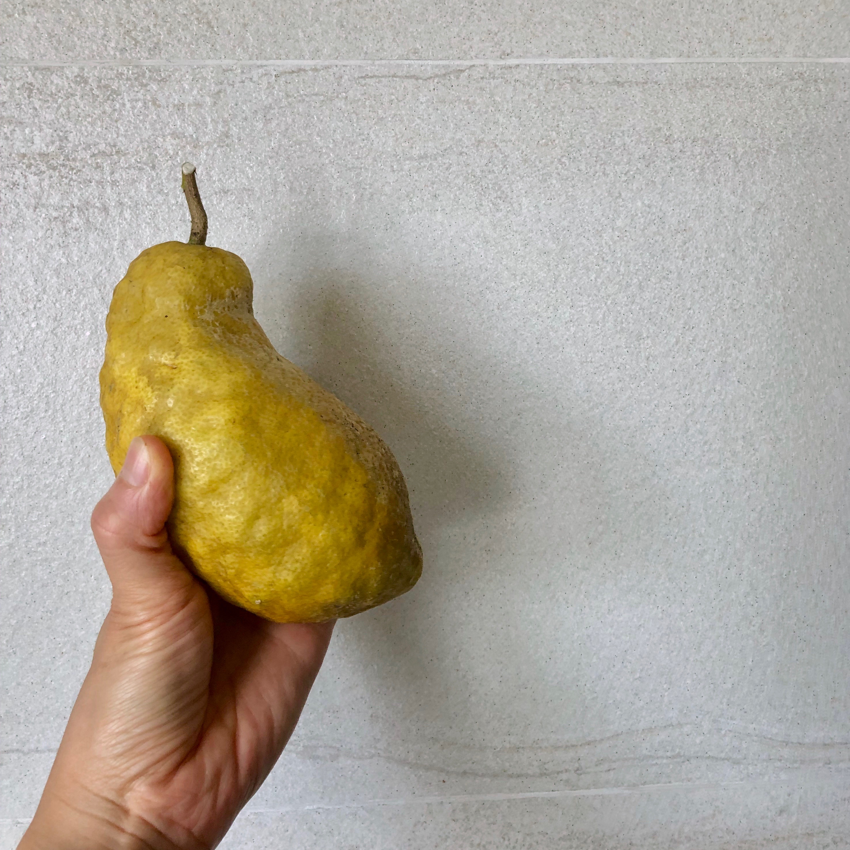 Lablabi: A taste of a distant, foreign land – Angelina Hue